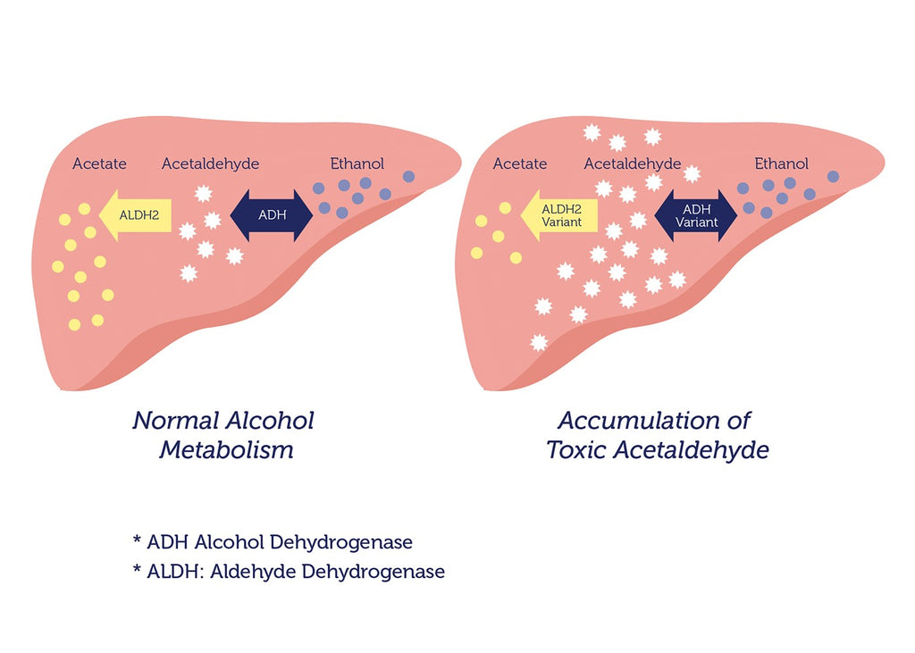 DNA Alcohol Intolerance Test | Precision Lab Works